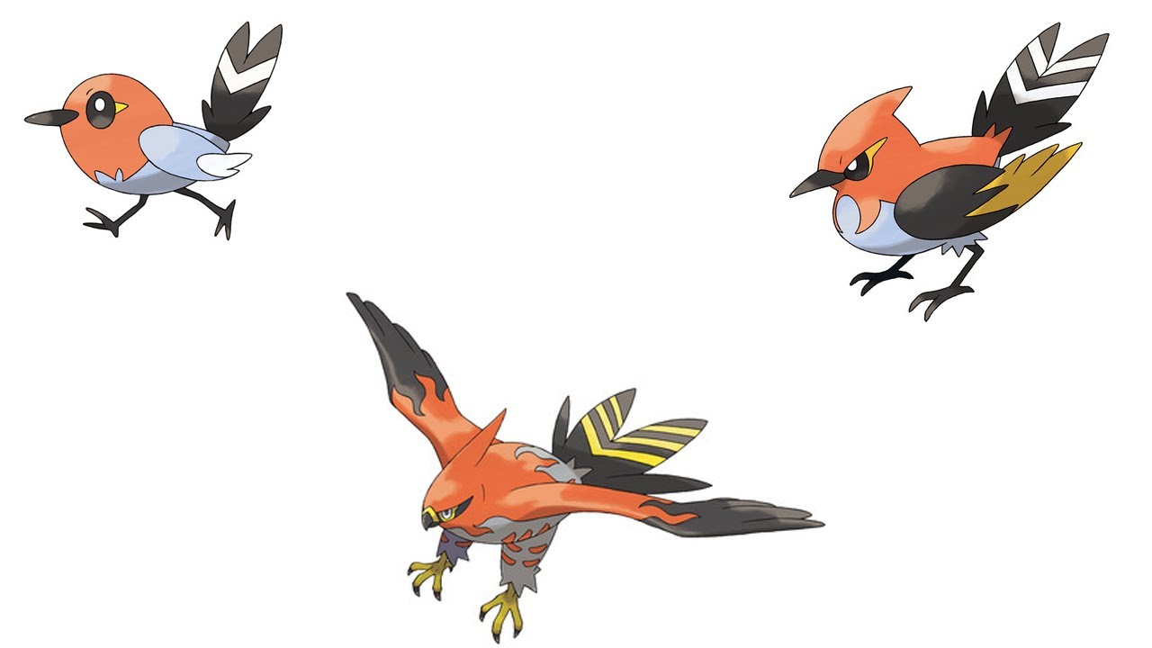 Nicknames For Fletchling/Fletchinder/Talonflame - YouTube