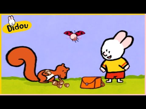 Didou, dessine-moi un écureuil 🐿️ | Didou | 40' Compilation