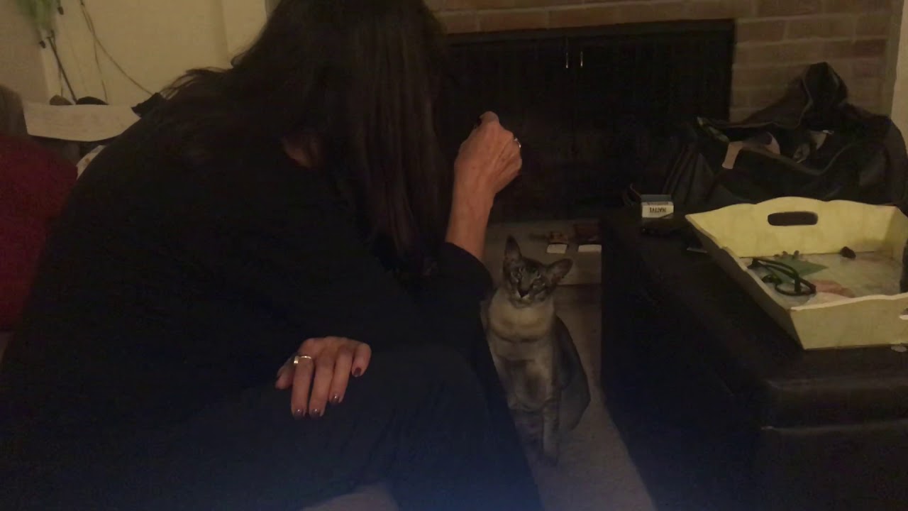 Milo and Mom - YouTube