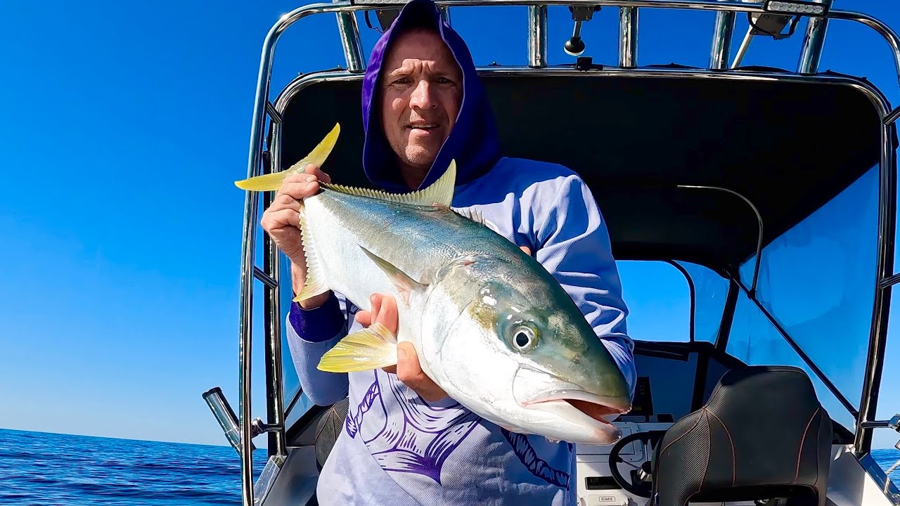 Sight Casting Big Kingfish in Shallow Water - YouTube