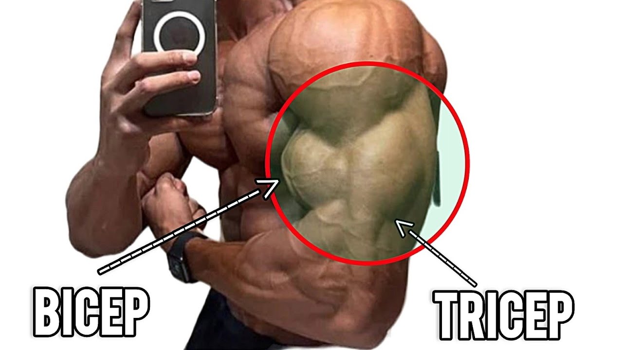 Best Bicep and Tricep Exercises to Build Big Hand Muscle | Bicep ...