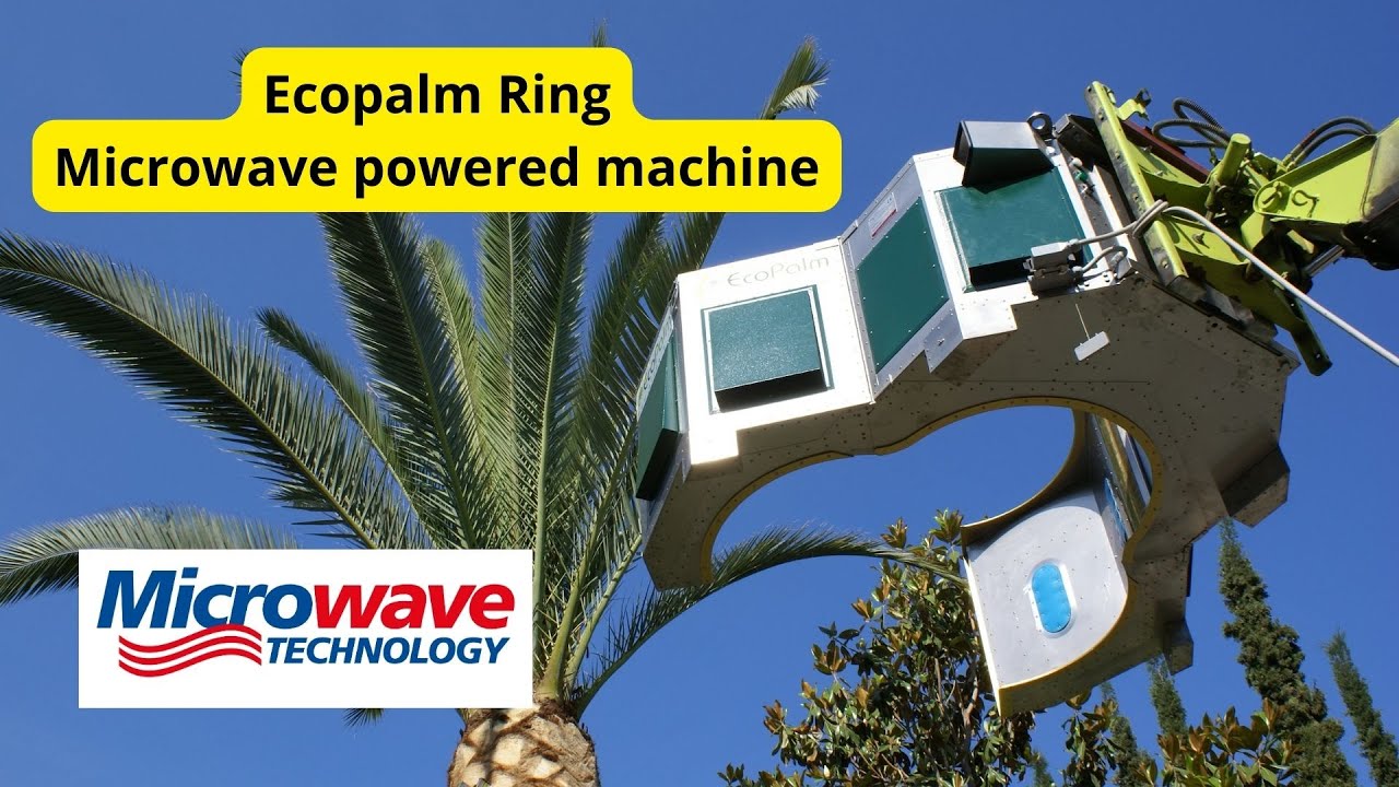 Ecopalm Ring! The most efficient machine for palm tree treatments ...
