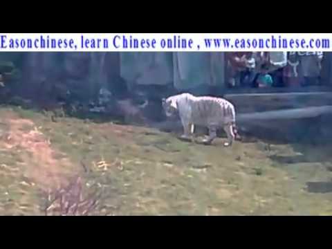 347 Wuxi Zoo - YouTube