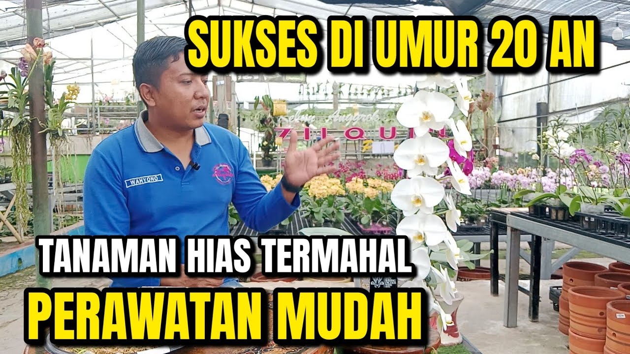 PETANI MUDA SUKSES DARI TANAMAN HIAS TERMAHAL BUNGA ANGGREK - YouTube