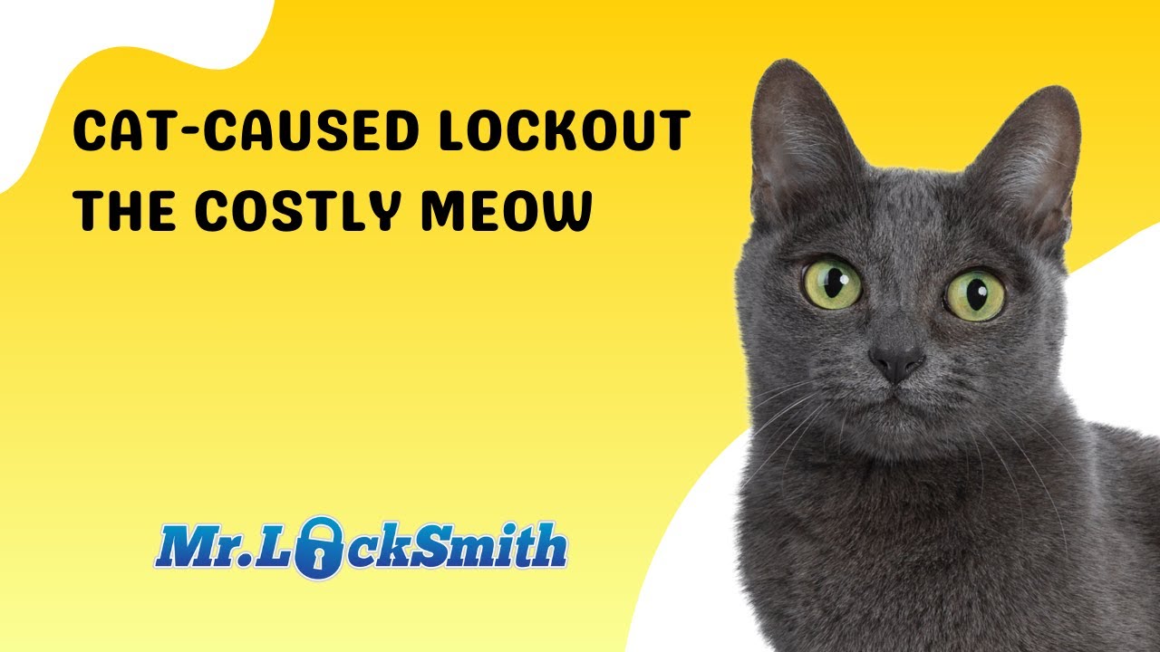 Cat-Caused Lockout: The Costly Meow - YouTube