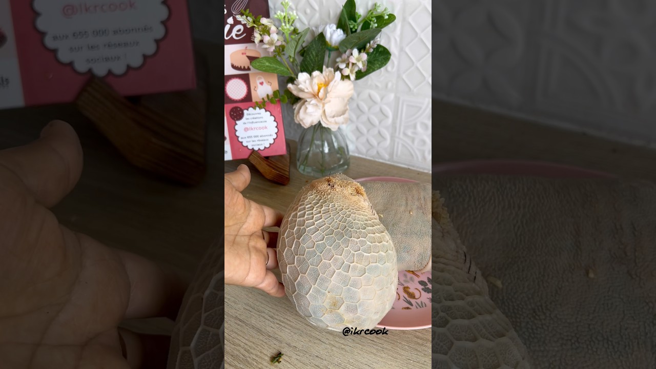 Osban tunisien - YouTube