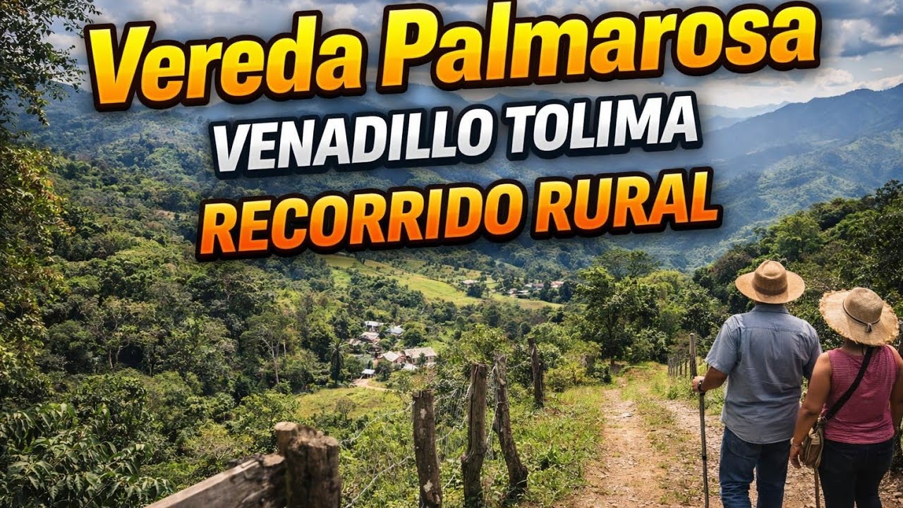 Vereda Palmarosa, Venadillo, Tolima | Recorrido rural - YouTube