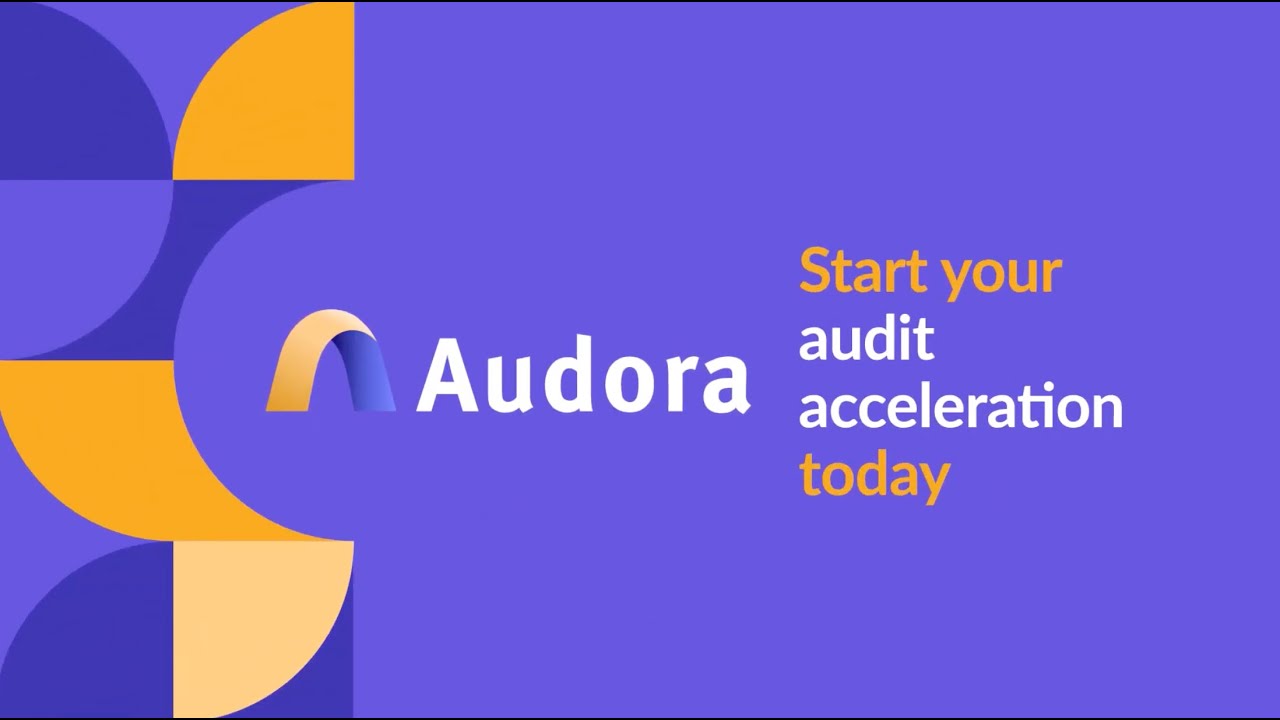 Audora: Audit efficiency and cybersecurity expertise in one product ...
