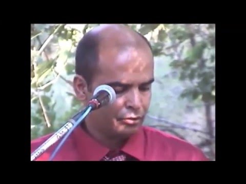 Arap Ali - Avşar Elleri