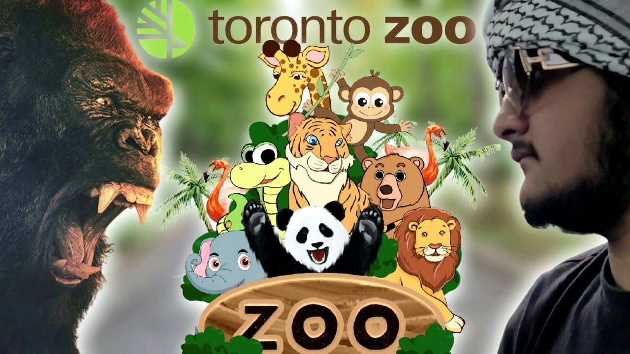 TOUR OF TORONTO ZOO / PART#1 🦁🦝🐒🦓 - YouTube