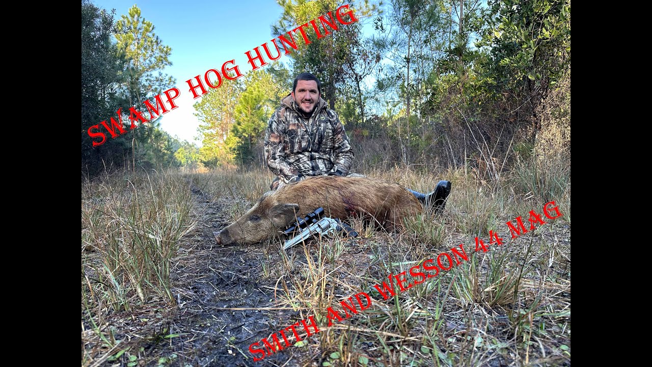 Hog Hunting with Handgun Smith and Wesson 44 magnum. (Swamp Hog Hunting ...