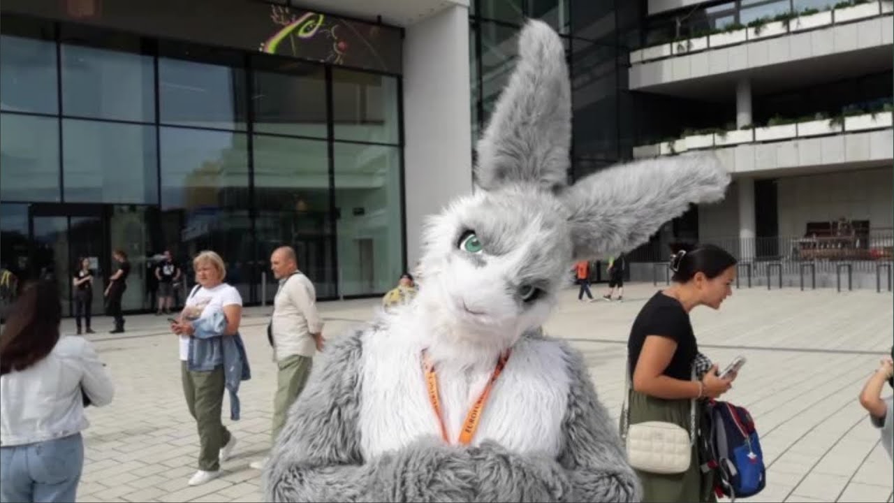 Eurofurence 27 - Part 2 - Sonntag - YouTube