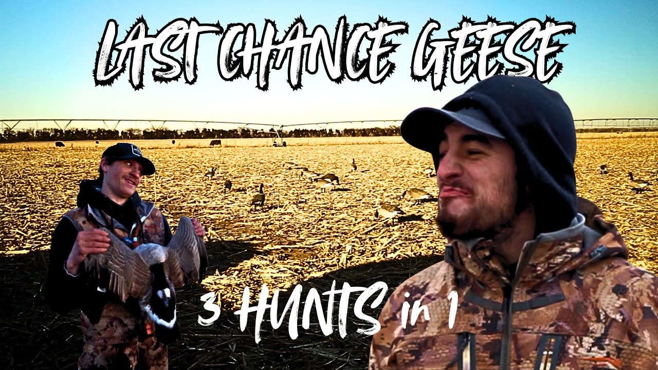 Waterfowl Hunting the Last Day of Season "Last Chance Geese" (3 Hunts ...