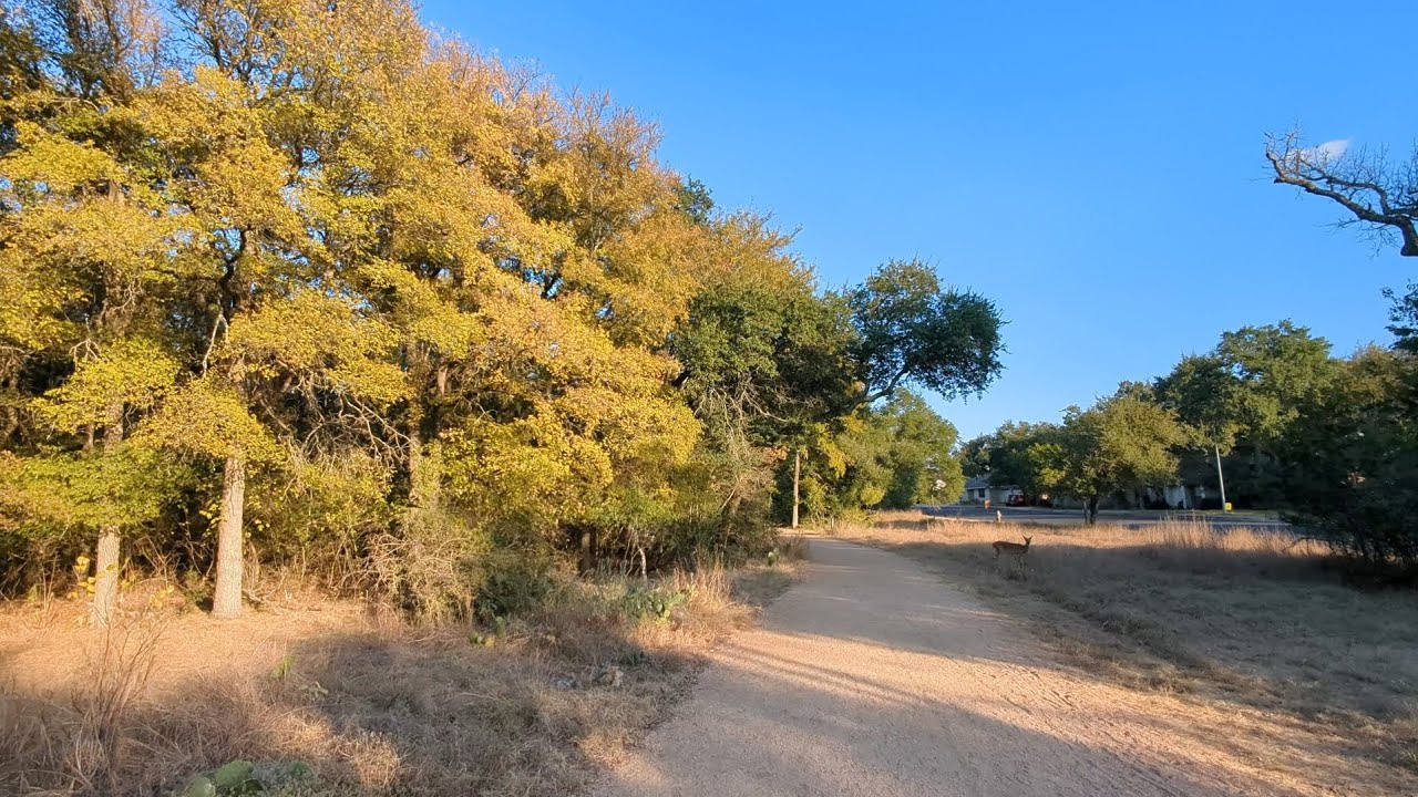 Evening Walk at Oakview Neighborhood Park in Austin, TX - YouTube