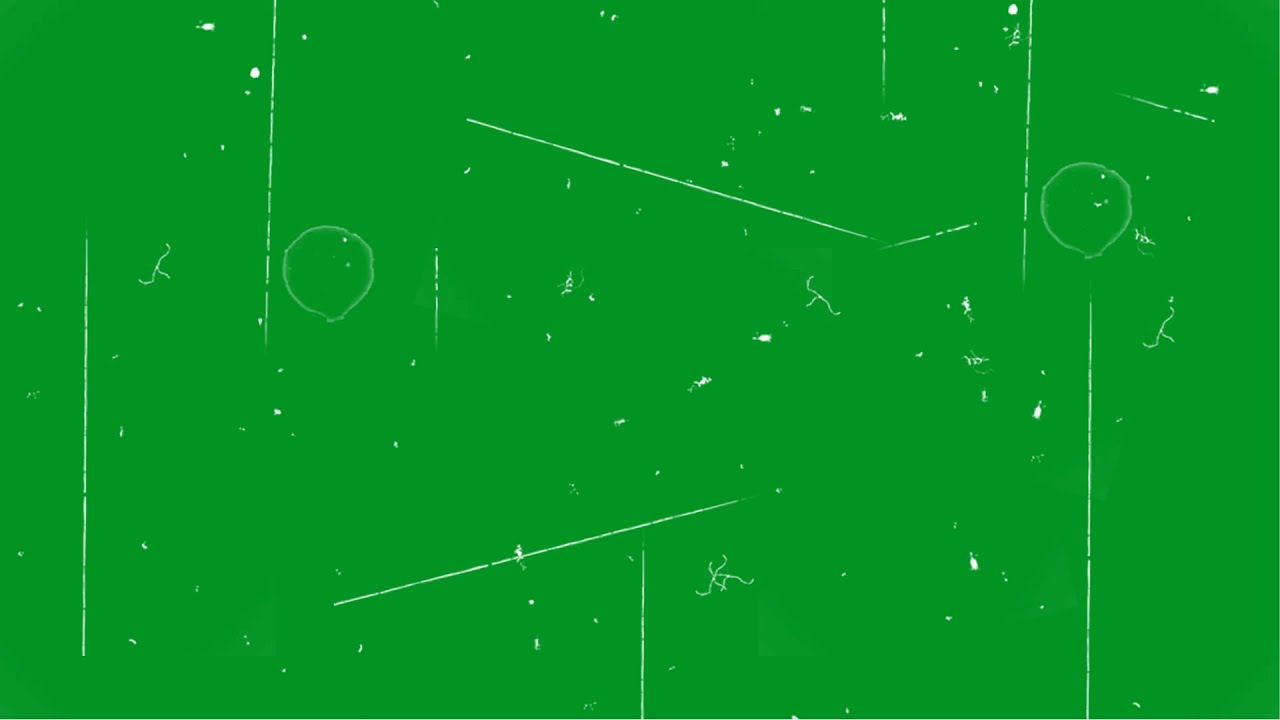 Retro Kodak | Negative Film Scratched Strip Effects Green Screen ...