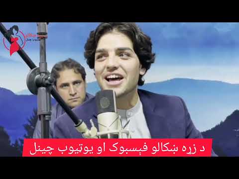 Hakem wolfat arman Da arman Tapei