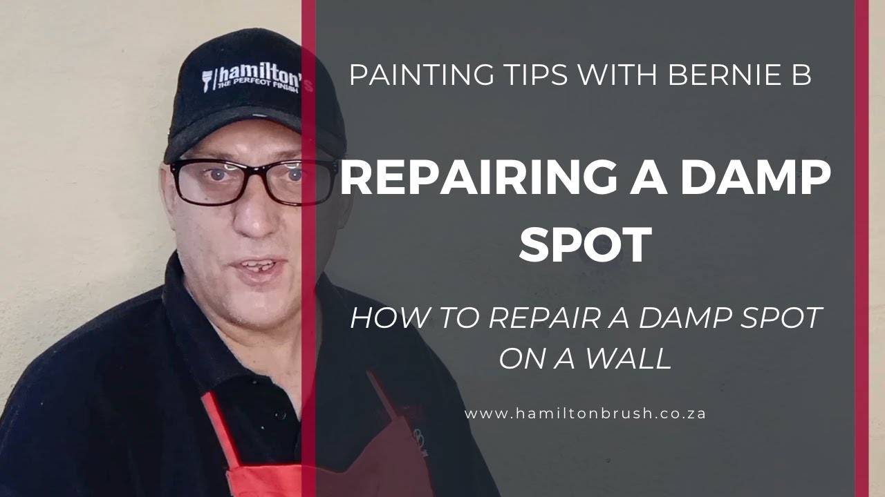 How To: Repair a damp spot on a wall - YouTube