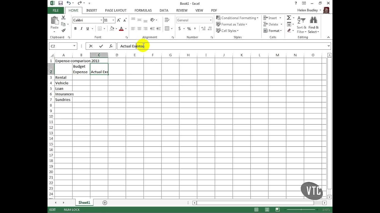VTC Player Microsoft Excel 2013, Enter Text and Headings - YouTube