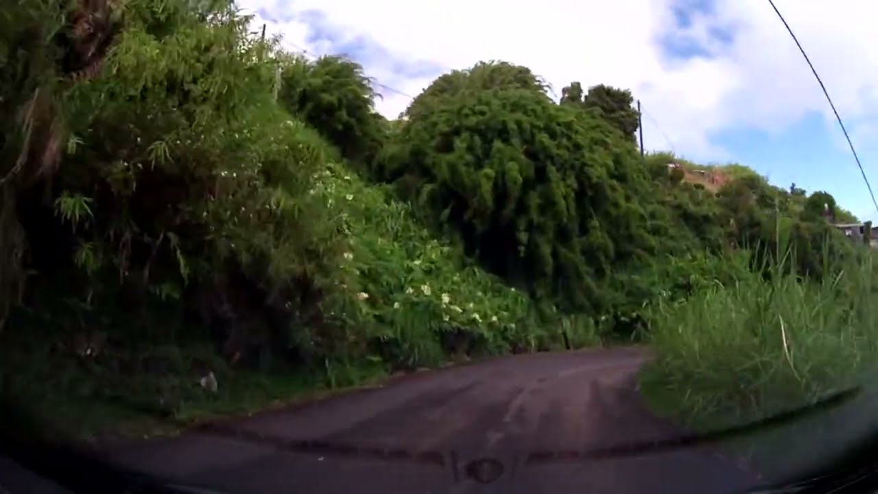 Ile de la Réunion,Saint Denis - le Brulé ,part 1 - YouTube