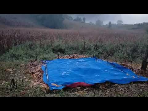 Hnub no tuaj mus Ua chaw ntais pob 🌽 kws 6 December 2024 - YouTube