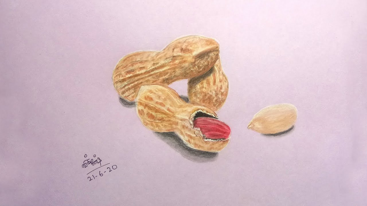 Peanut 🥜 Realistic 3D Drawing | வேர்க்கடலையின் தத்ரூப ஓவியம் | How To ...
