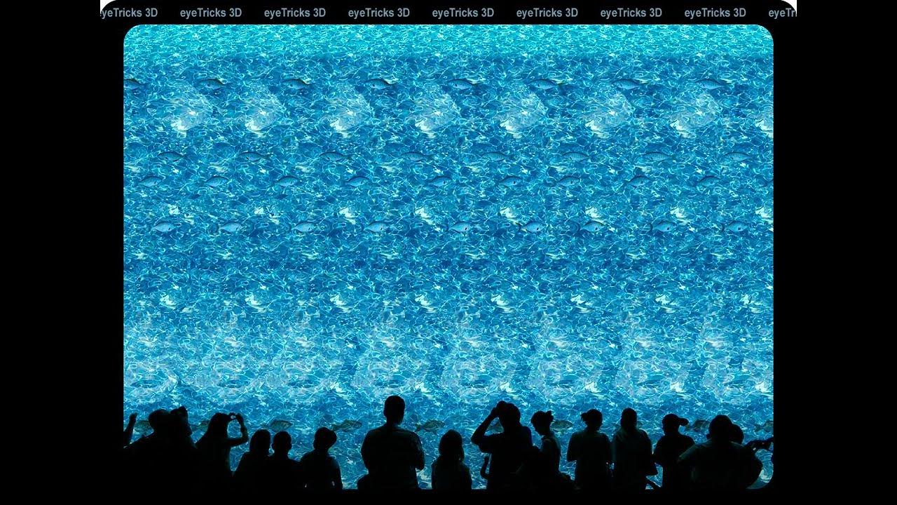 Aquarium View - 3D Stereogram Optical Illusion - YouTube