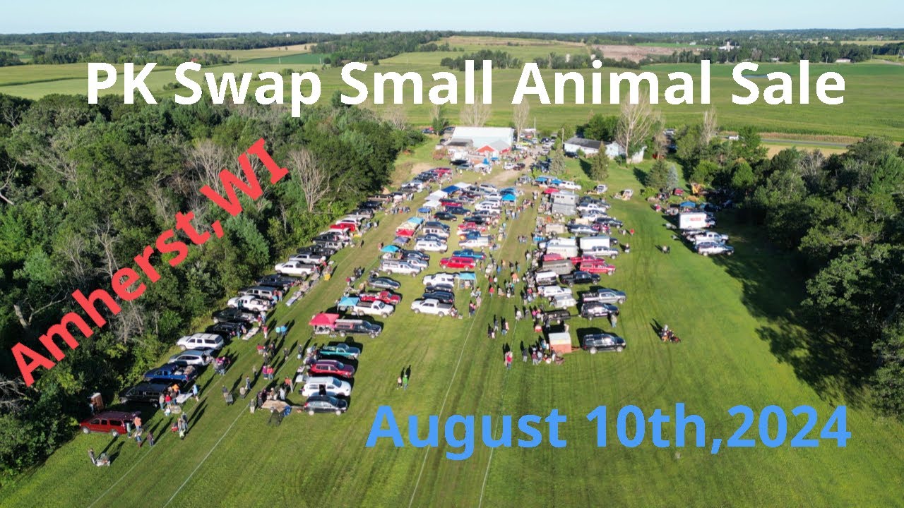 Pk Swap Small Animal Sale In Amherst WI August 10th,2024 - YouTube