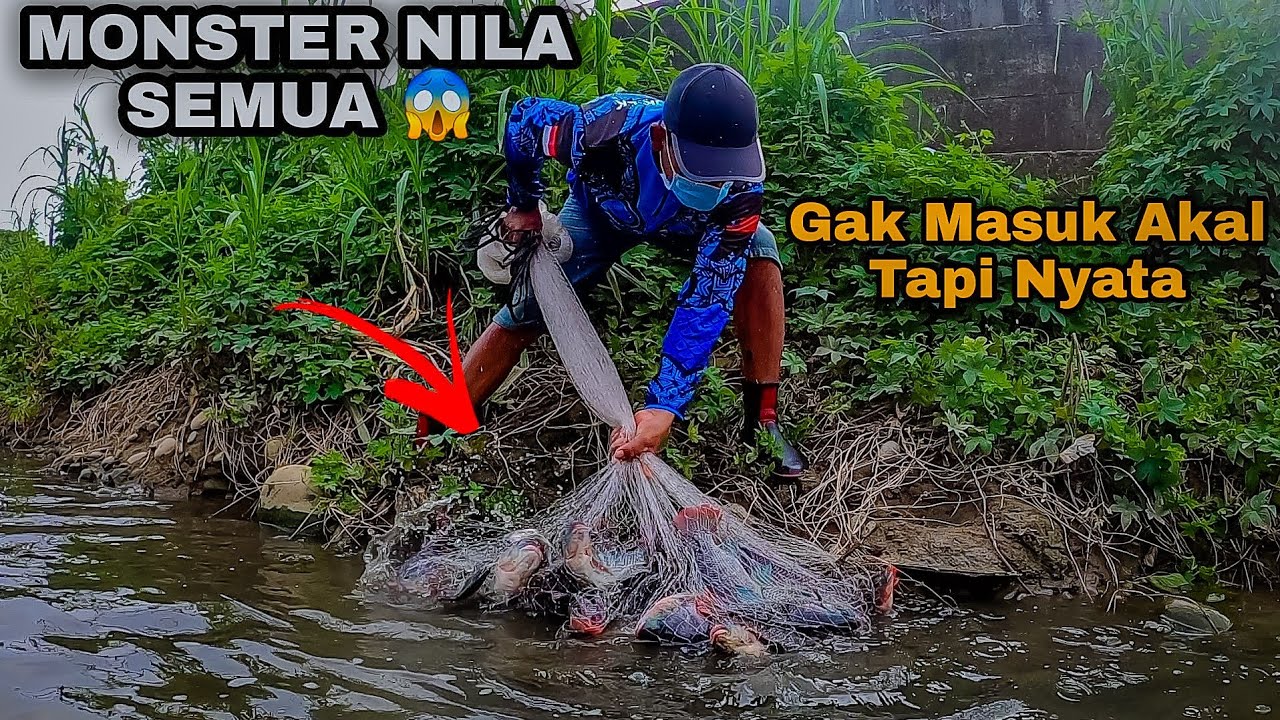 Menjala Ikan Di Sungai Dekat Kota Hasilnya Sangat Memuaskan || Best Net ...