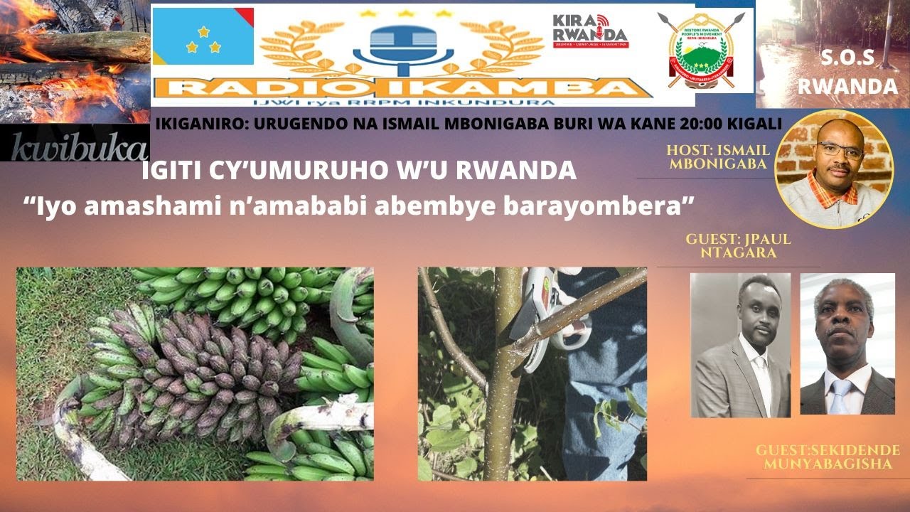 11-05-2023: URUGENDO: IGITI CY’UMURUHO W’U RWANDA“Iyo amashami n ...