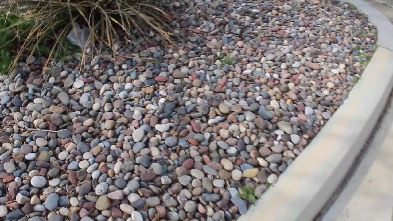 Arizona River Rock 3 4 X 1 1 2 YouTube arizona-river-rock-3-4-x-1-1-2-youtube