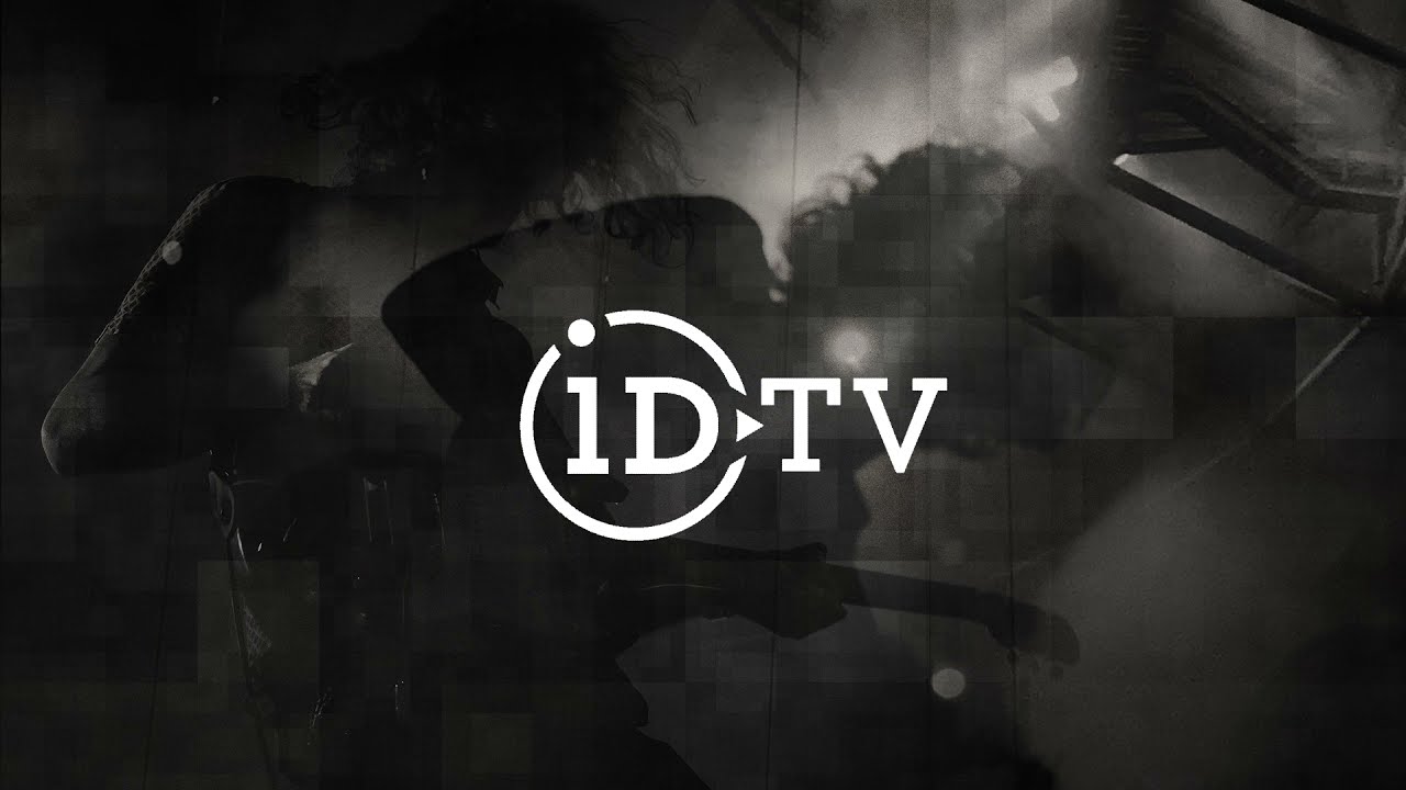 Animated Bumper and Logo Reveal - YouTube