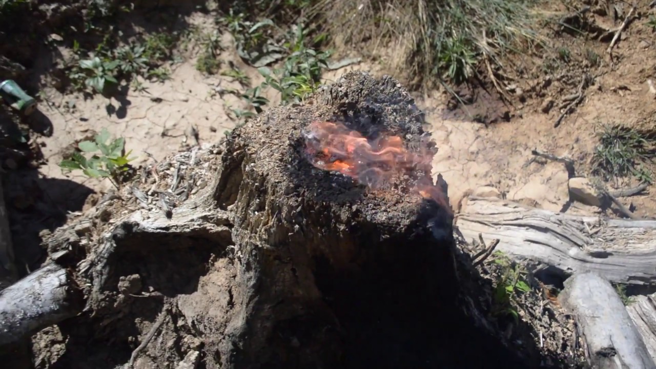 Burning Stumps with Thermite - YouTube