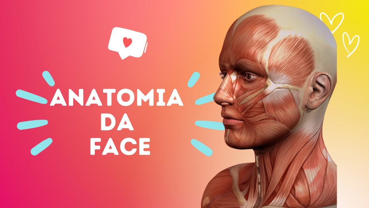 Os segredos surpreendentes da Anatomia da Face - YouTube