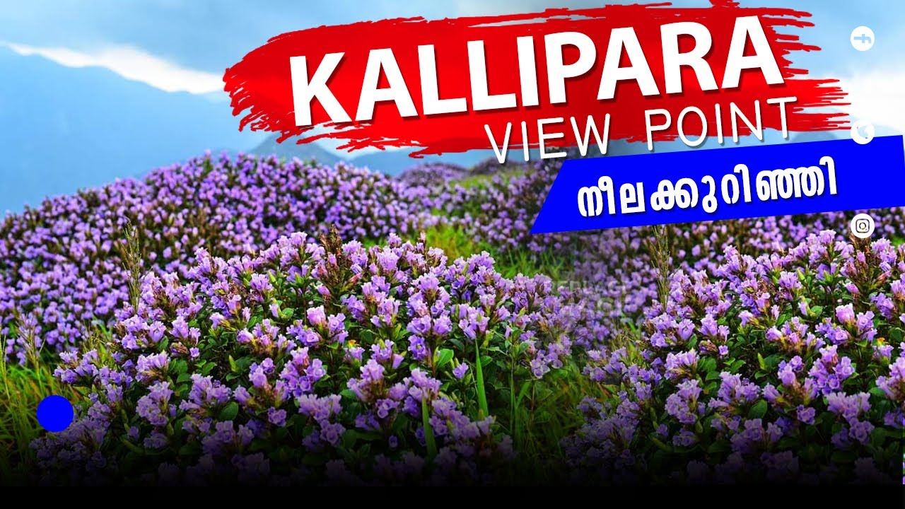 neelakurinji kallipara view point chathurangapara 2022 - YouTube