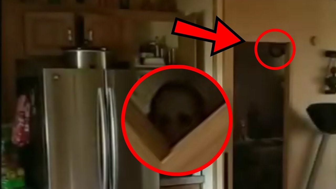 5 ROSTROS PARANORMALES CAPTADOS en CÁMARA - YouTube