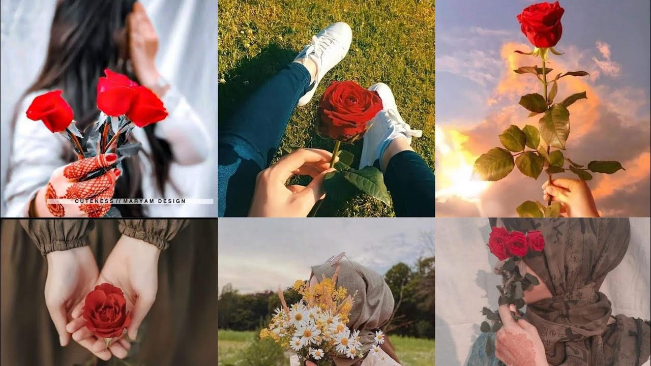 Beautiful flowersdpz/🌷/girls hands Dpz/dpz for girls/what's app dpz ...