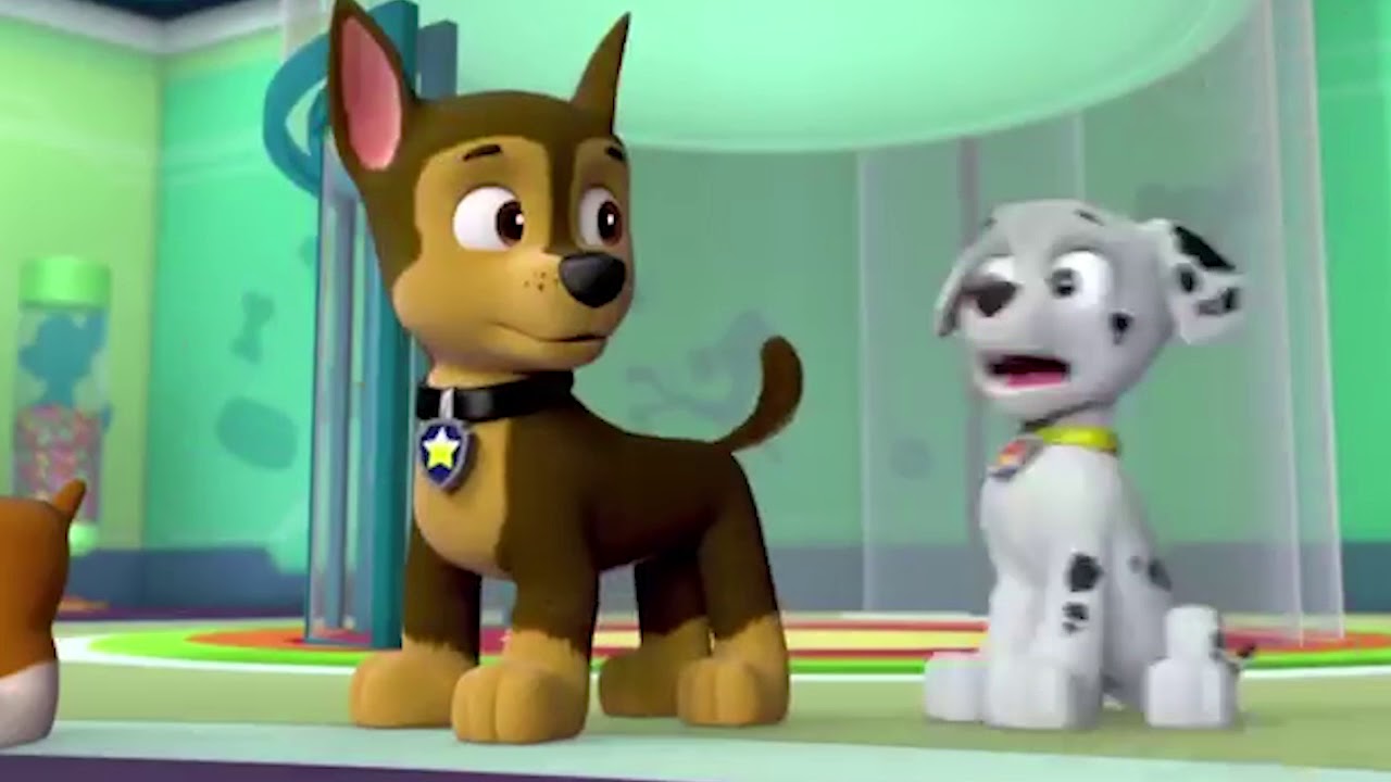Paw Patrol can can - YouTube