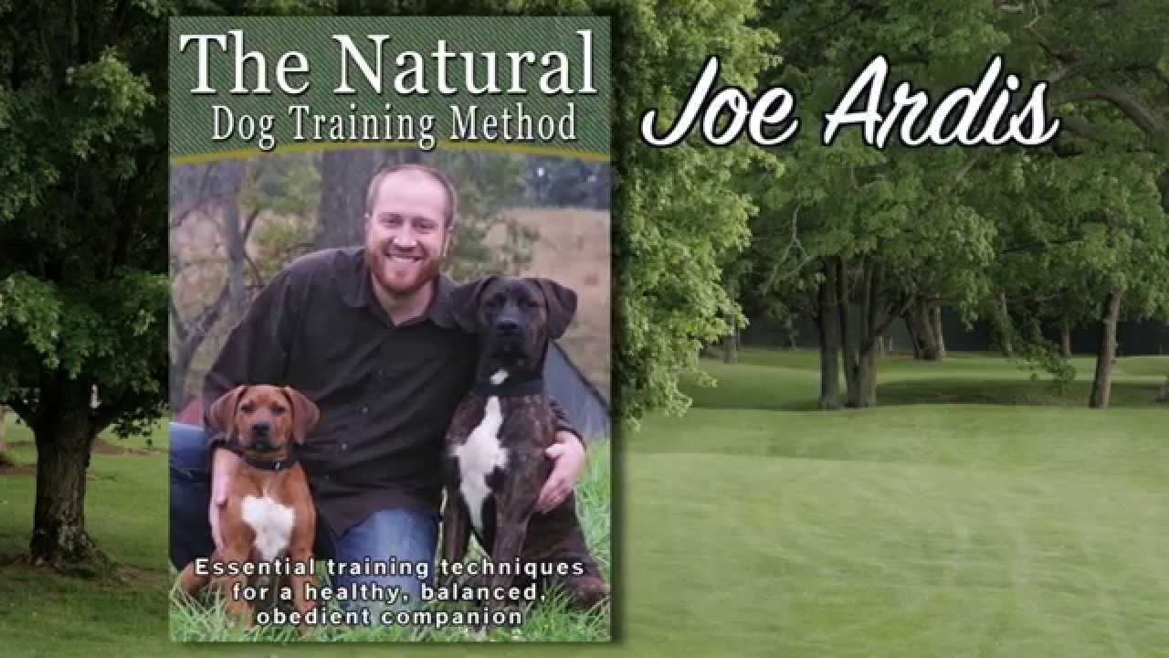 AMAZING NEW DOG TRAINING VIDEO CHANGES LIVES! - YouTube