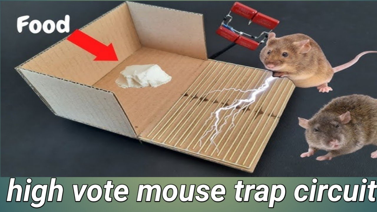 Best Electric Mouse Trap || Electric MouseTrap || Electronic Rat Trap ...