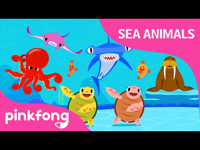 Pinkfong