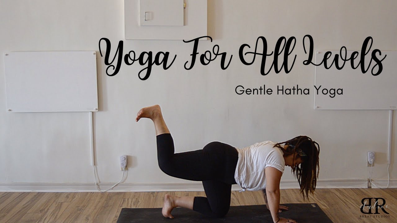 Yoga For All Levels Youtube