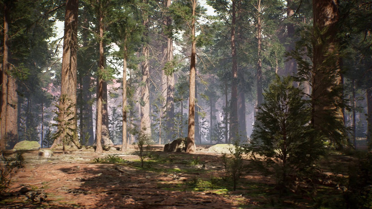 cg forest rendering - YouTube