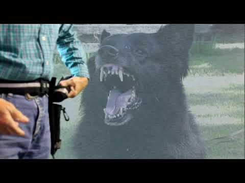 Bite Terminator System Re-Holster Video - YouTube