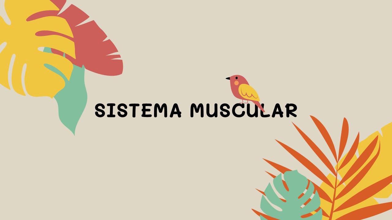 Reptiles. Sistema Muscular. - YouTube