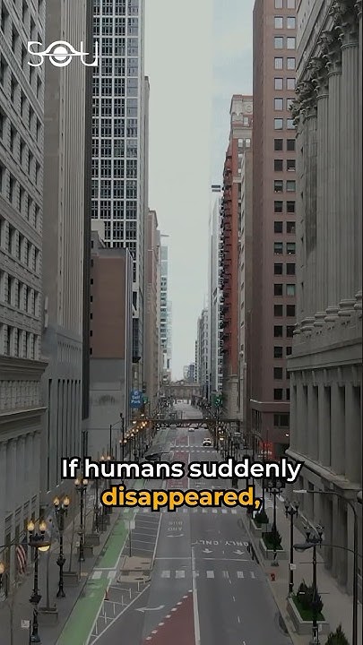 If Humans Suddenly Disappeared. What Will Happen Next? 🌎 #shorts - YouTube