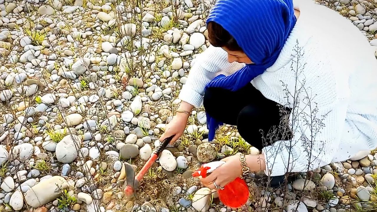 In Searching Of Gemstone . Do not ignore the stones around you - YouTube
