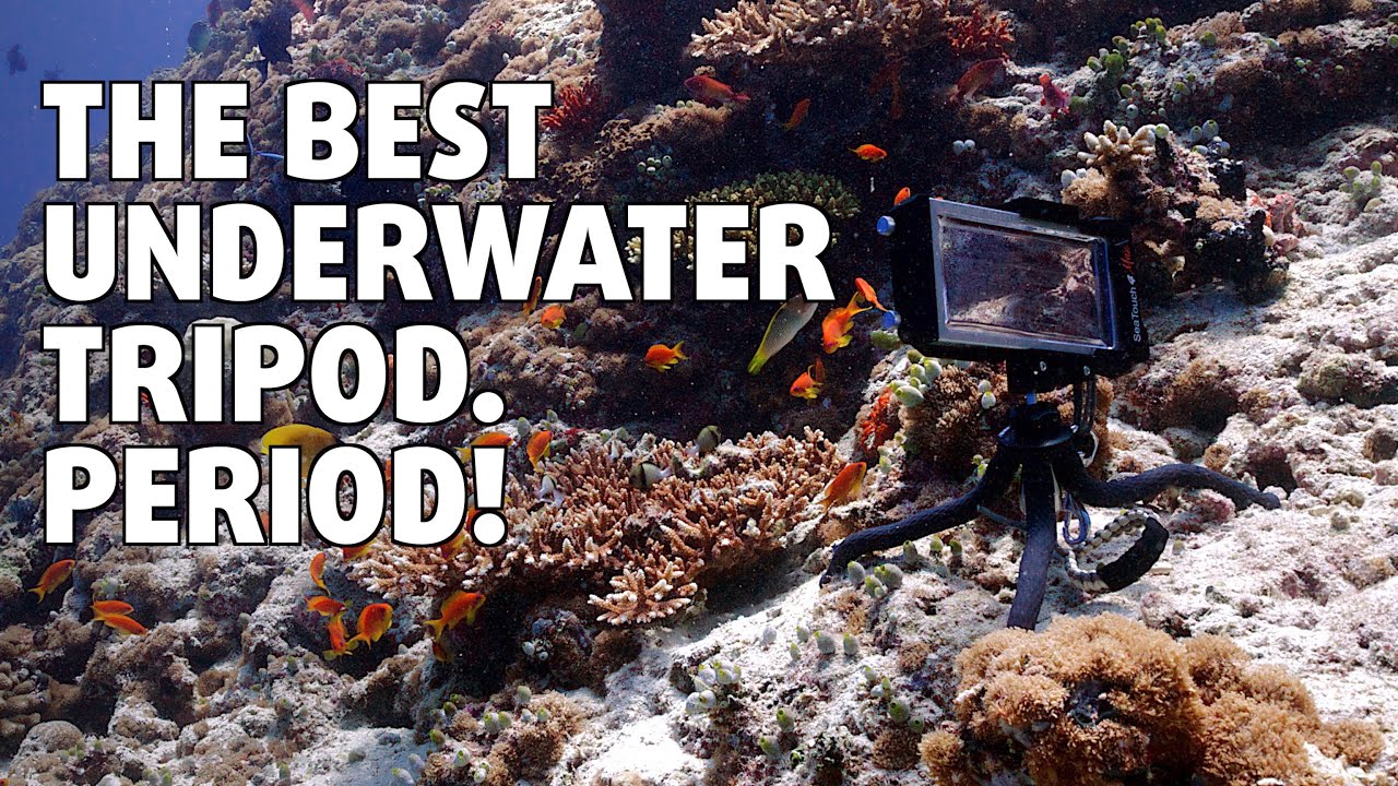 THIS is THE BEST Underwater Tripod! 🔥 - YouTube