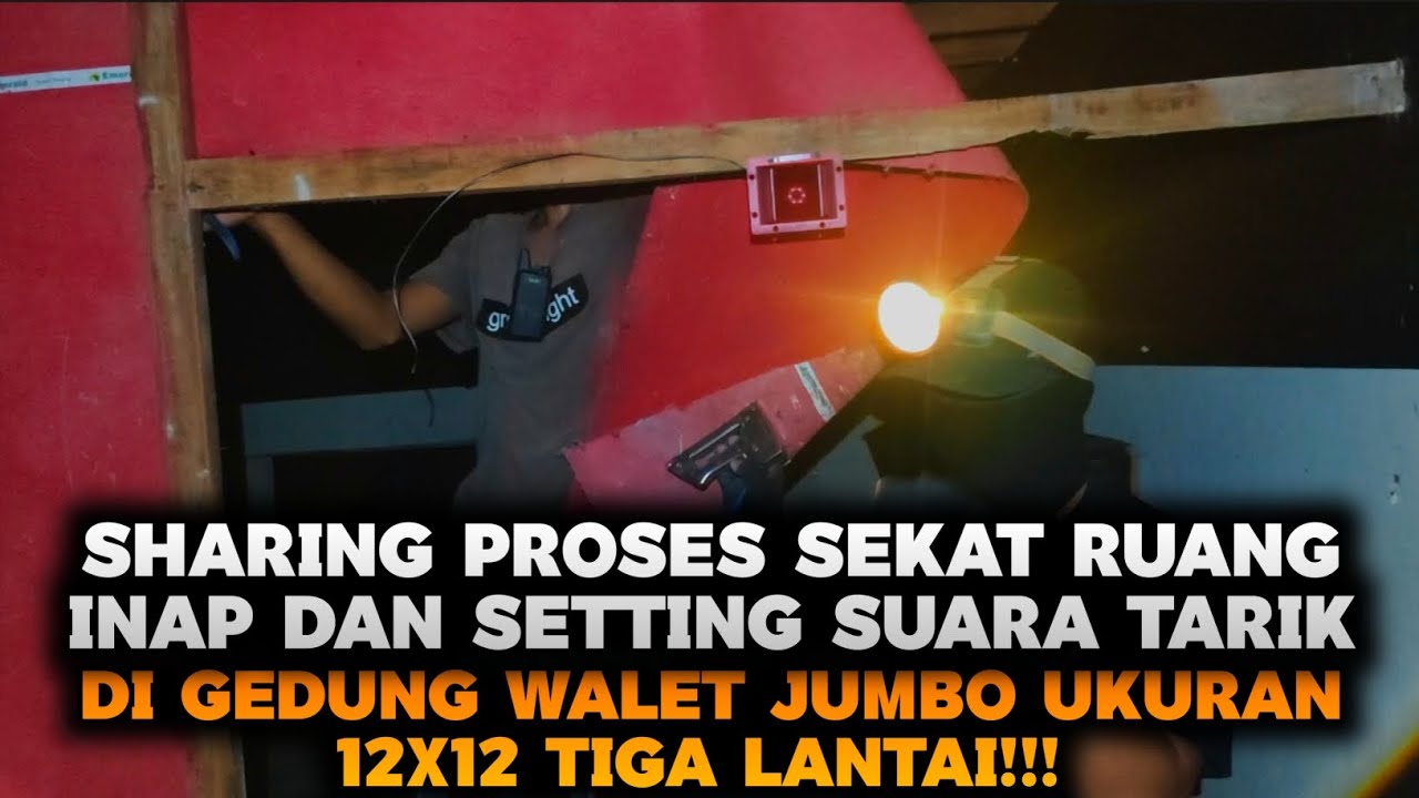 Proses sekat ruang inap inti, agar walet nyaman berkembang biak di ...