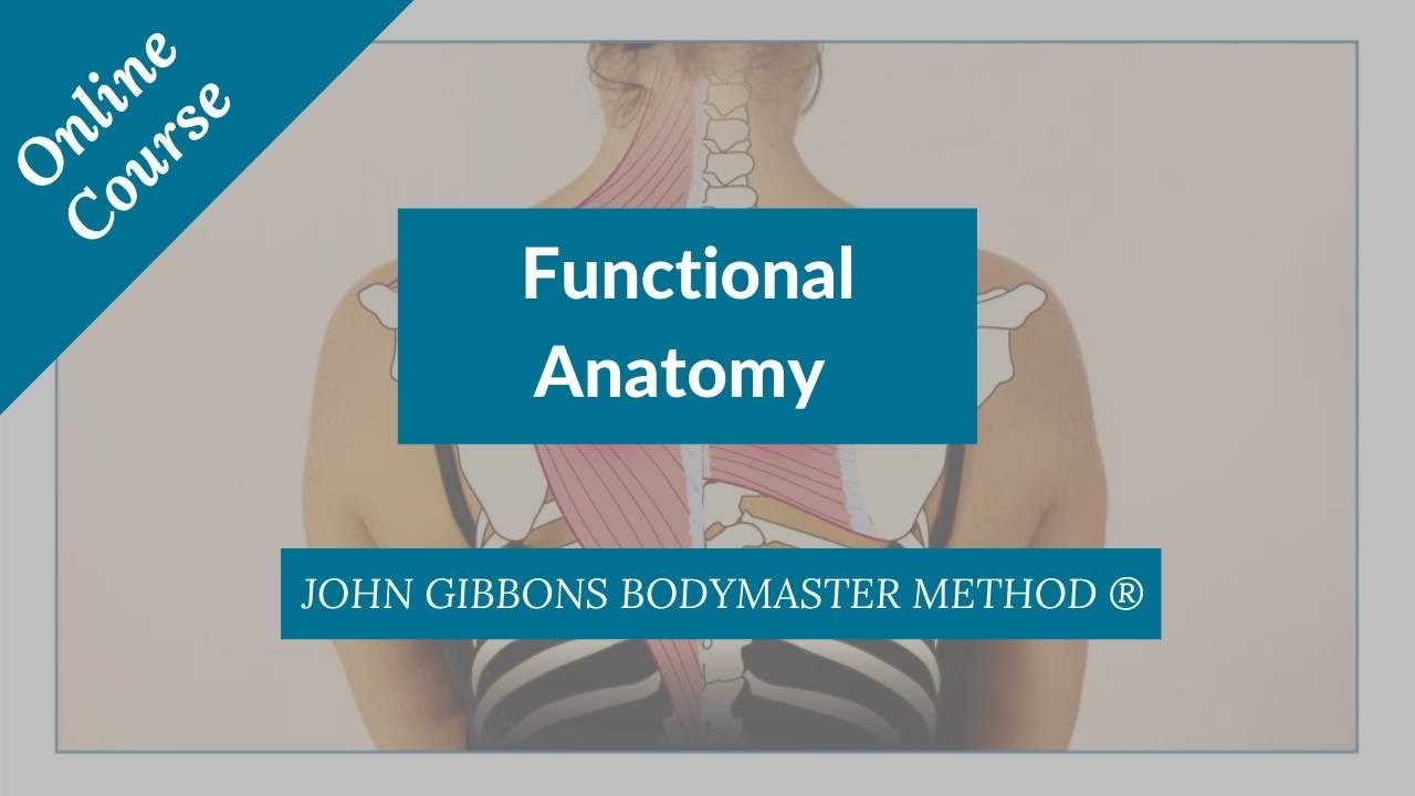 Want to Learn Functional Anatomy? Taught by John Gibbons - The ...