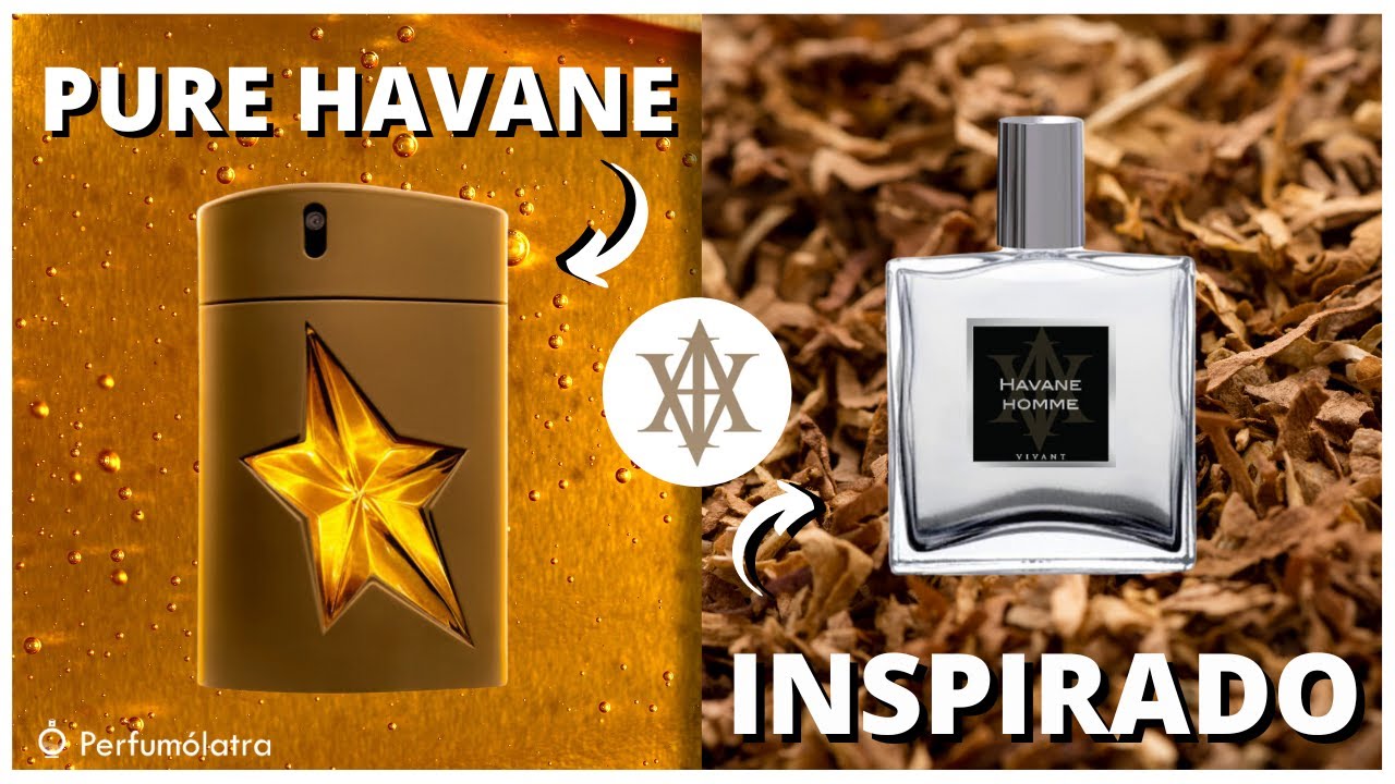 PERFUME DELICIOSO INSPIRADO NO MUGLER PURE HAVANE | Havane Homme Vivant ...